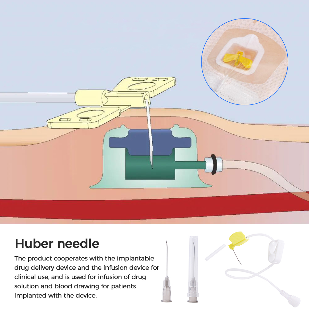 Aguja Huber |Biosecure Pharma SL